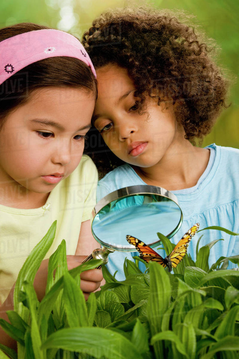Girls looking at butterfly with magnifying glass - Royalty-free Stock ...