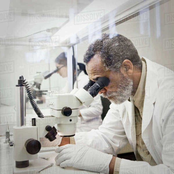 African American scientist using microscope in laboratory - Royalty ...