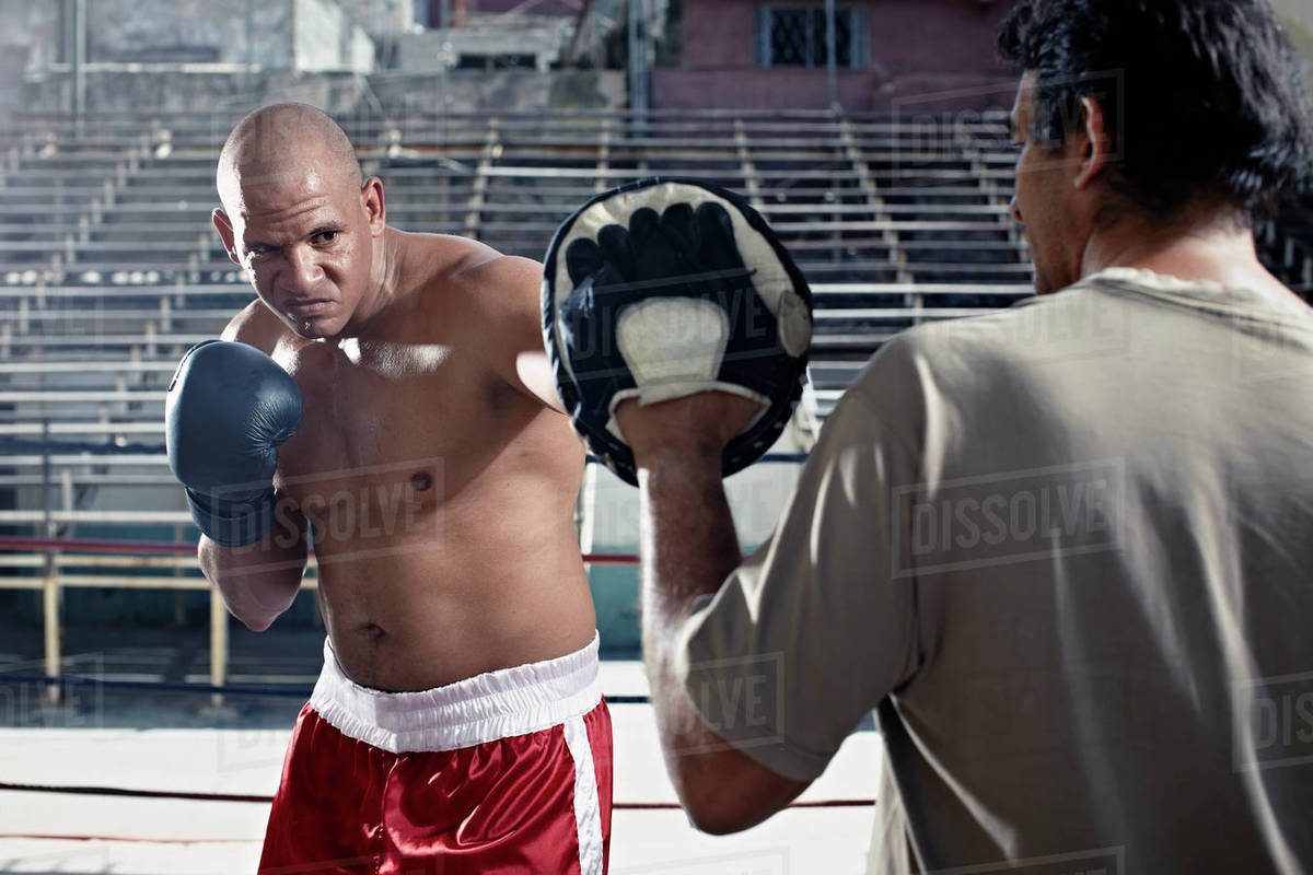 Hispanic boxers sparring in gym - Stock Photo - Dissolve