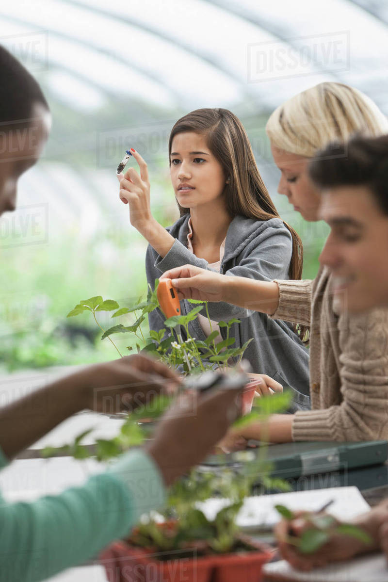 Students working in greenhouse - Royalty-free Stock Photo | Dissolve