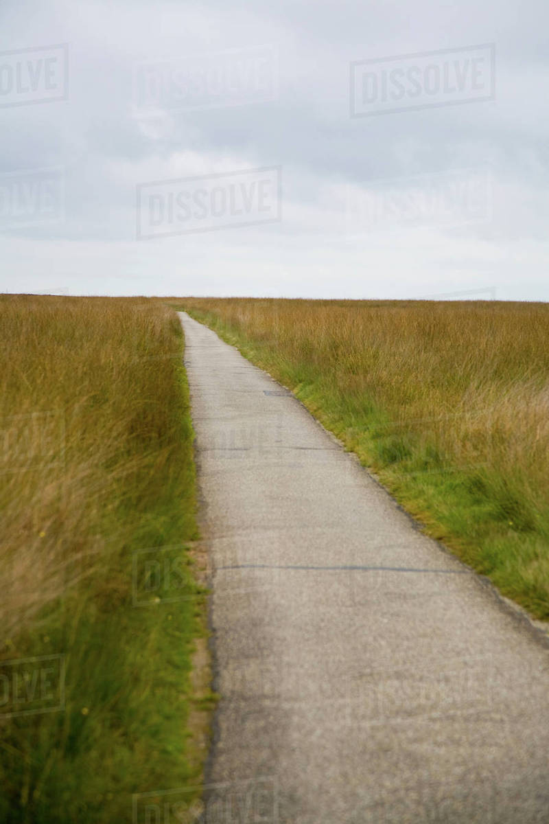 Path through field - Royalty-free Stock Photo | Dissolve