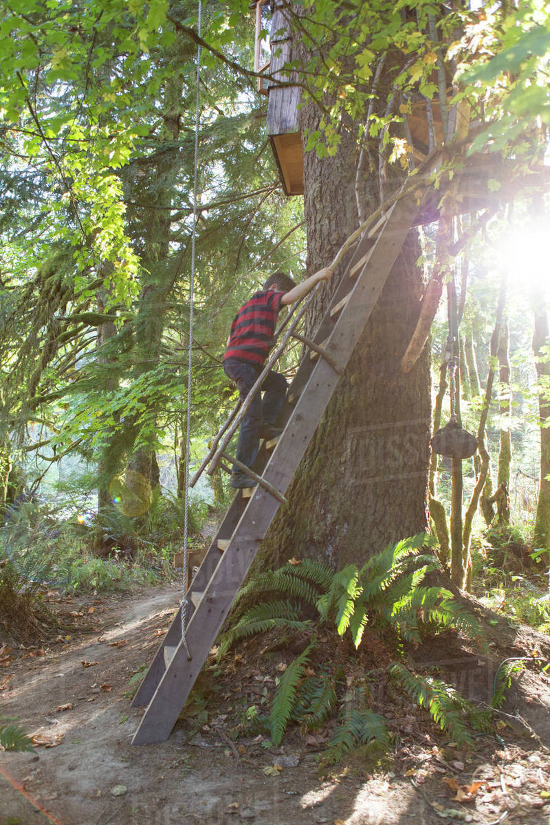 Caucasian boy climbing ladder to tree house - Royalty-free Stock Photo ...