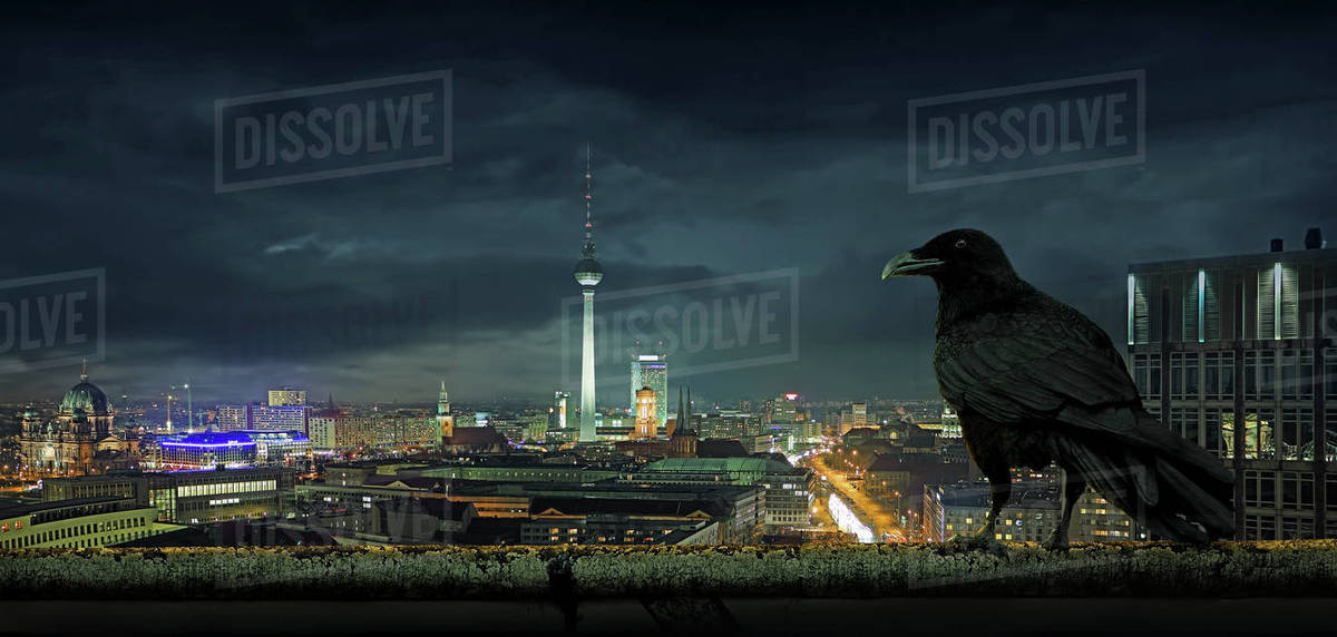 Crow overlooking cityscape, Berlin, Berlin, Germany - Royalty-free ...