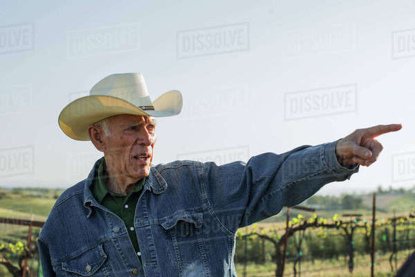 Hispanic farmer pointing in vineyard - Stock Photo - Dissolve