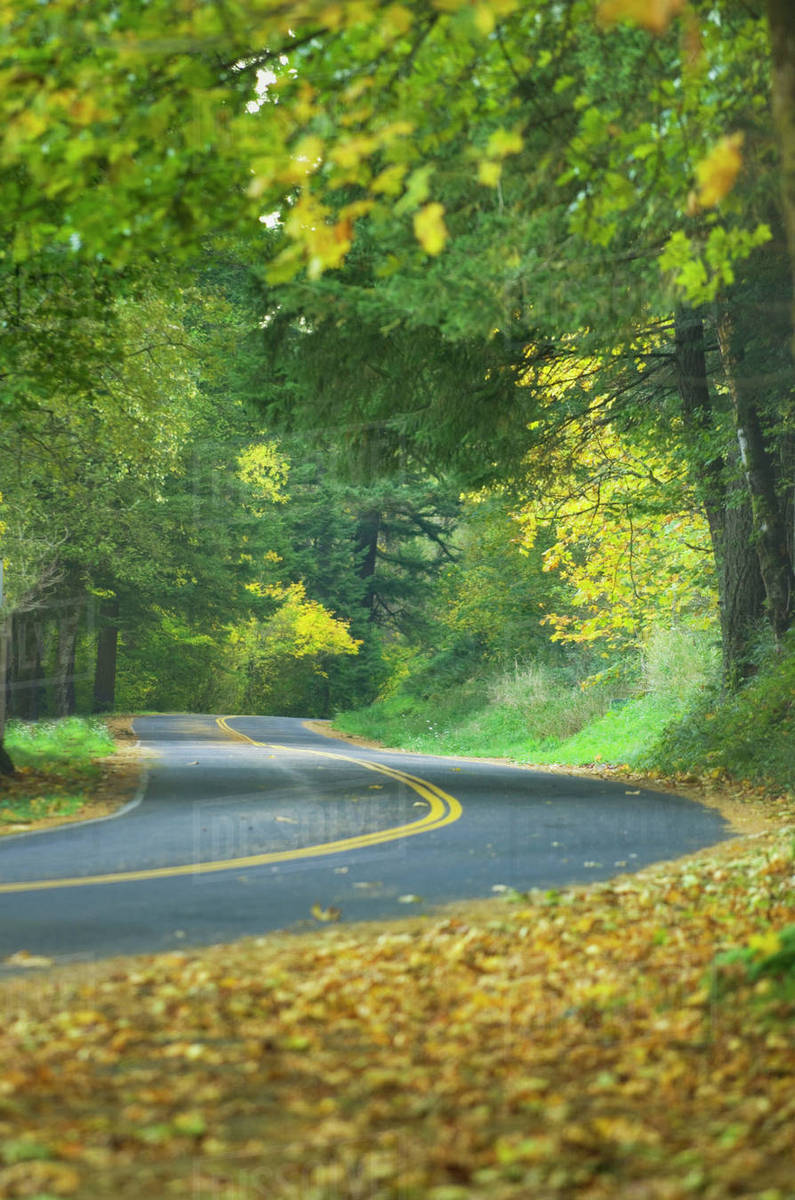 Historic Columbia River Highway - Royalty-free Stock Photo | Dissolve