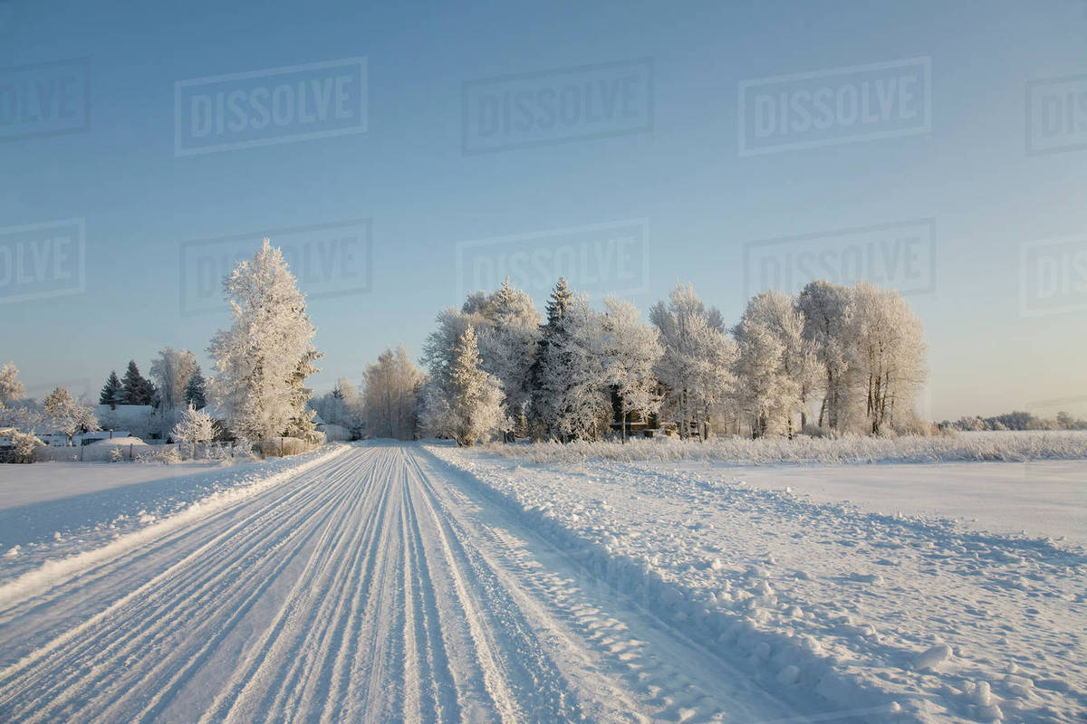 Country Road Covered in Snow - Royalty-free Stock Photo | Dissolve