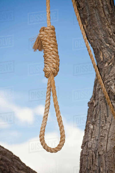Hangman's Noose in a Tree - Royalty-free Stock Photo | Dissolve
