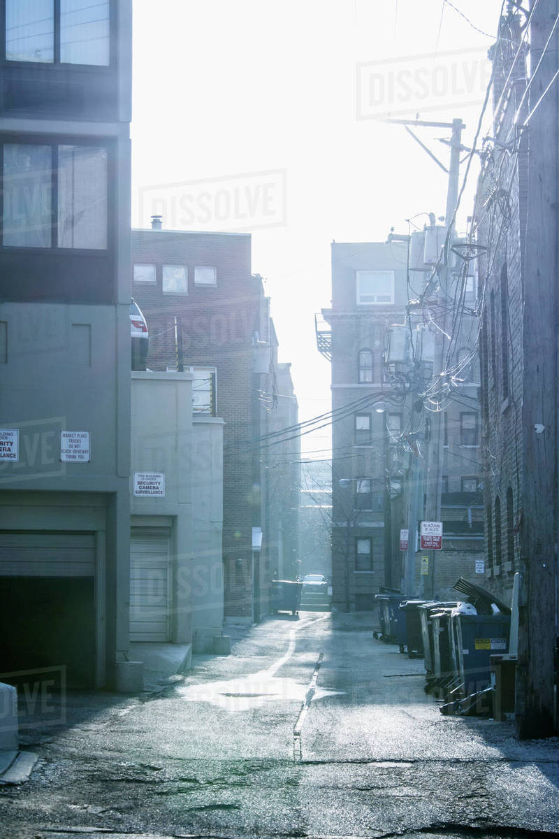 Garbage cans in urban alleyway, Chicago, Illinois, United States ...