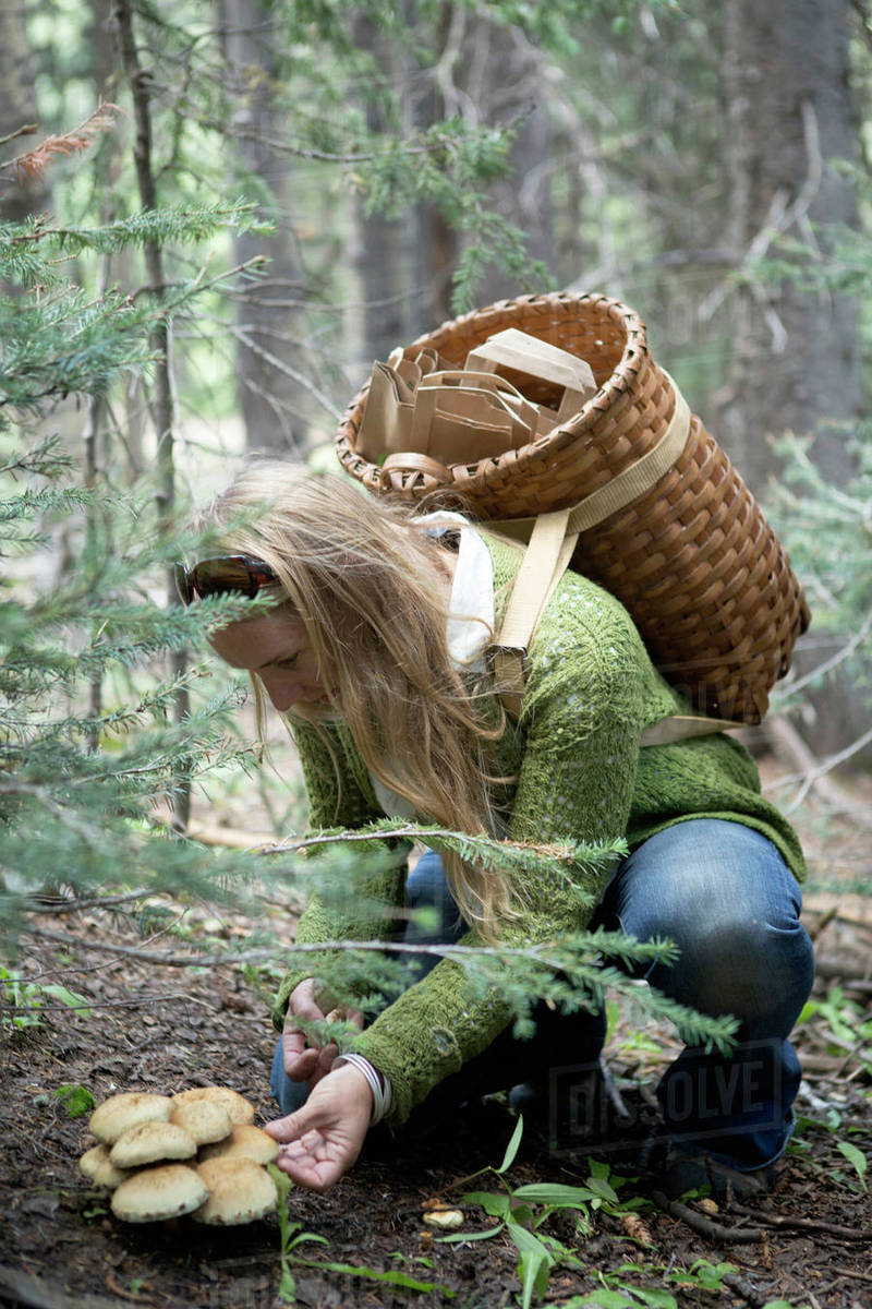 Woman foraging for mushrooms in forest - Stock Photo - Dissolve
