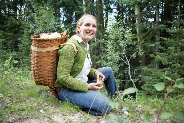 Woman foraging for mushrooms in forest - Stock Photo - Dissolve