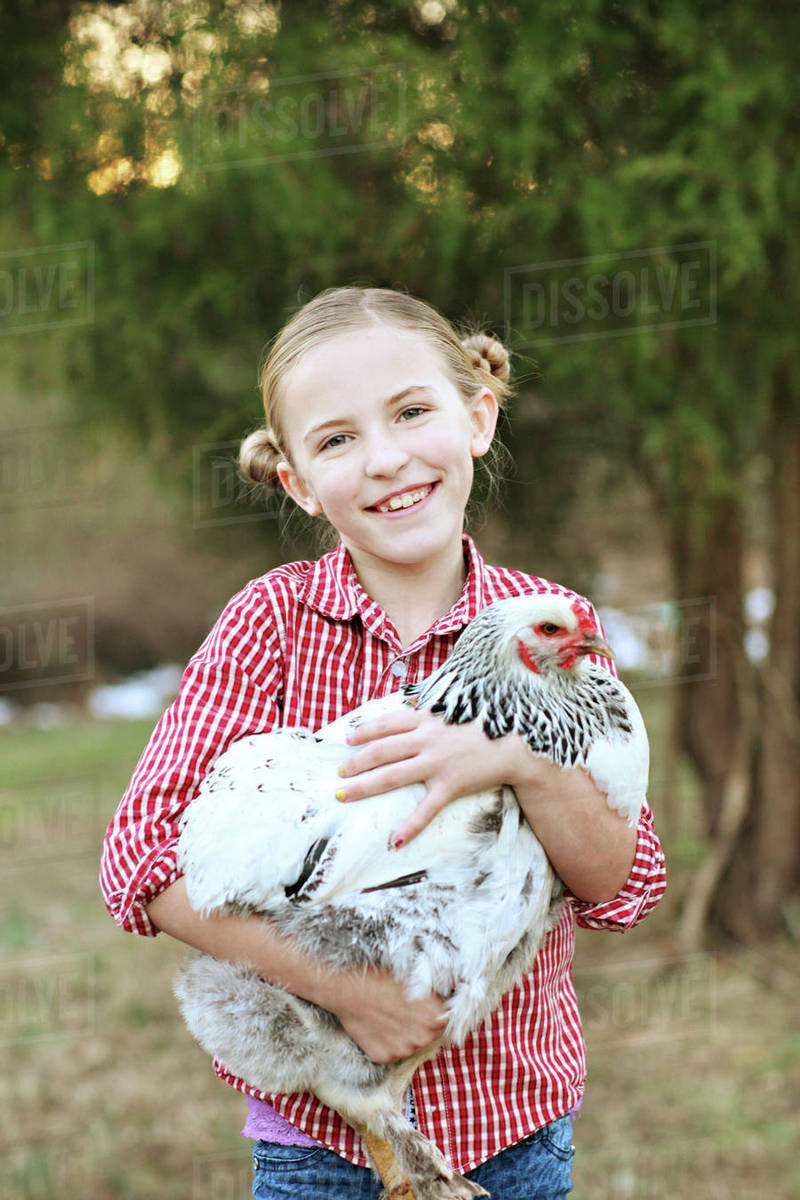 Caucasian girl holding chicken on farm - Stock Photo - Dissolve