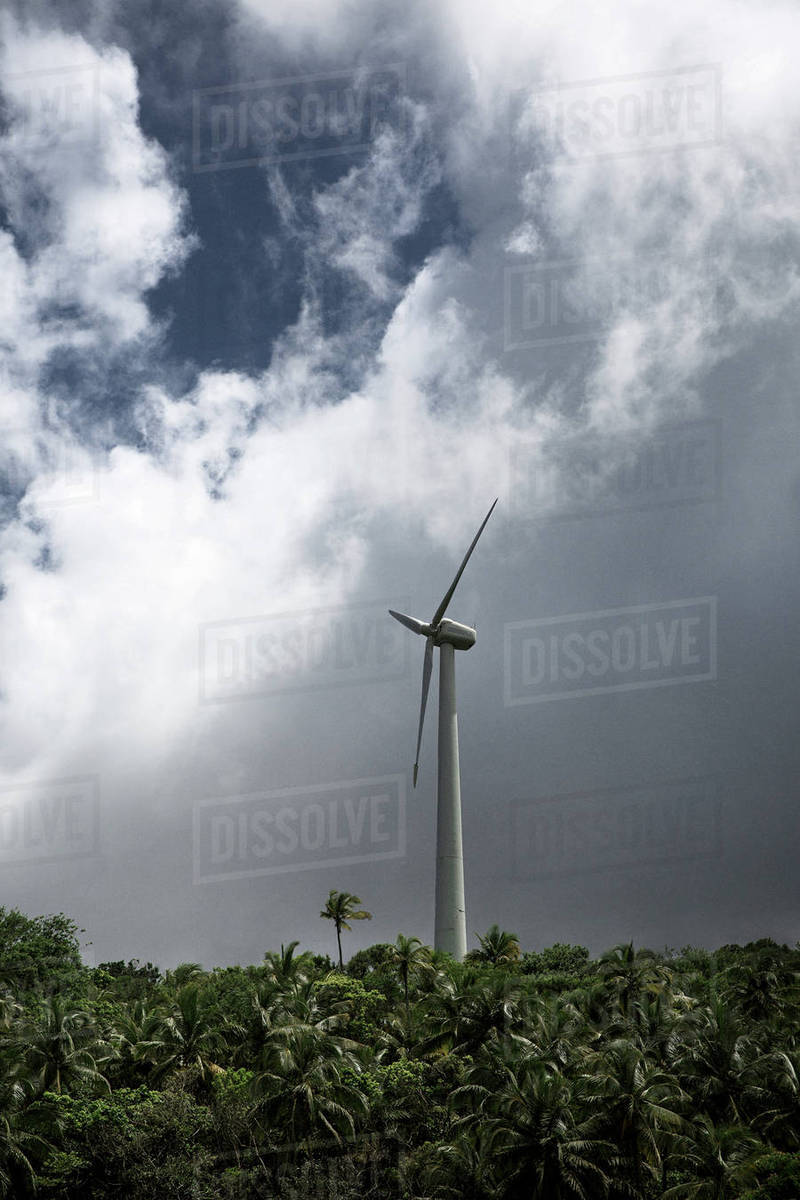 Wind turbine towering above rainforest - Stock Photo - Dissolve