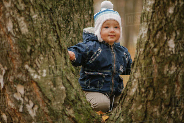 Middle Eastern baby boy climbing tree - Stock Photo - Dissolve
