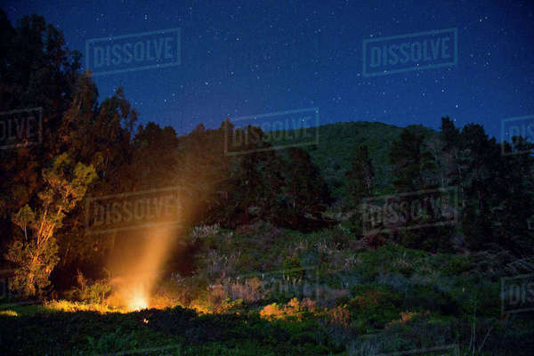 Campfire at night under starry sky - Stock Photo - Dissolve