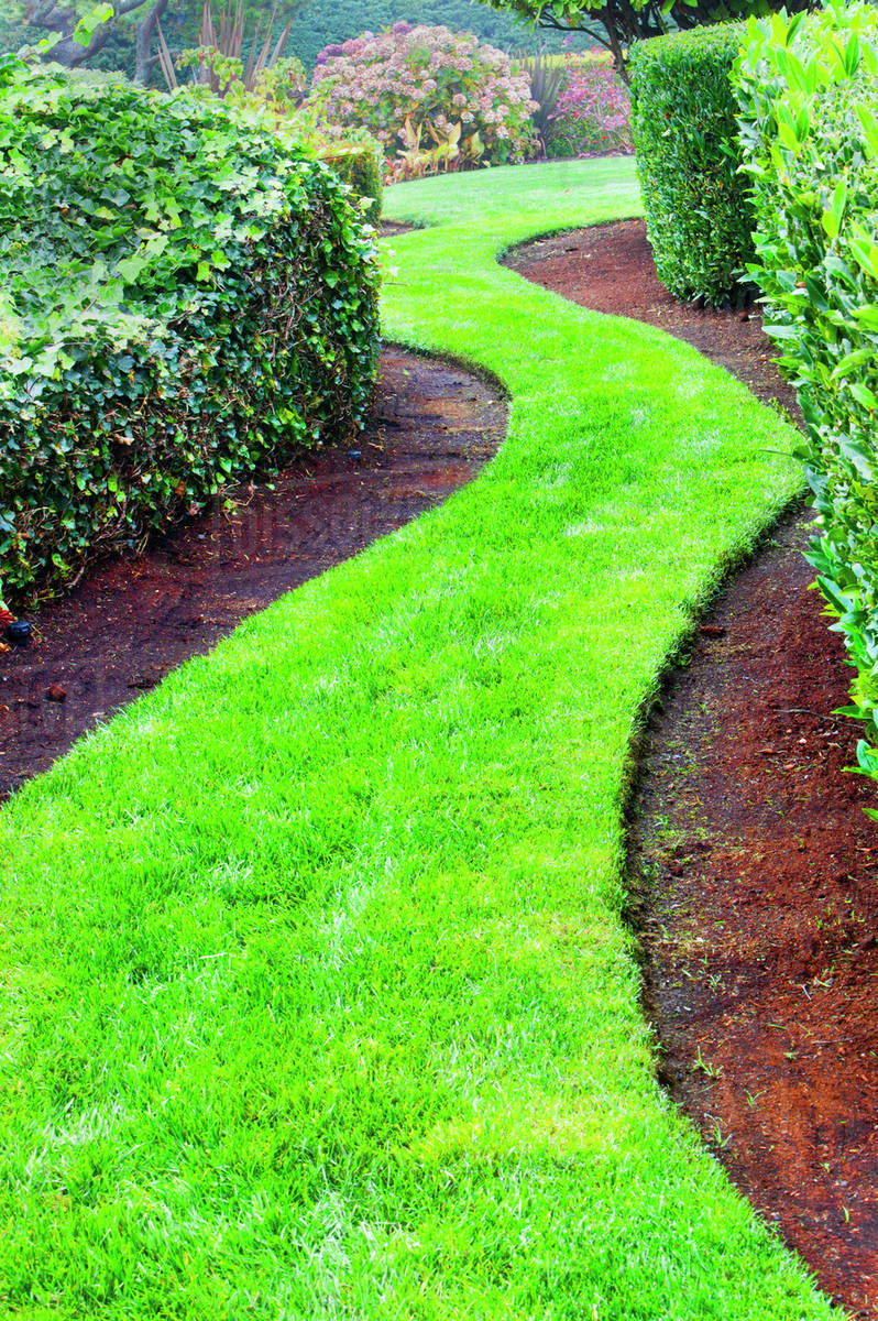 Winding grass path in landscaped garden - Royalty-free Stock Photo ...