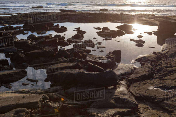 Rocks in tide pool on ocean beach at sunset - Royalty-free Stock Photo ...