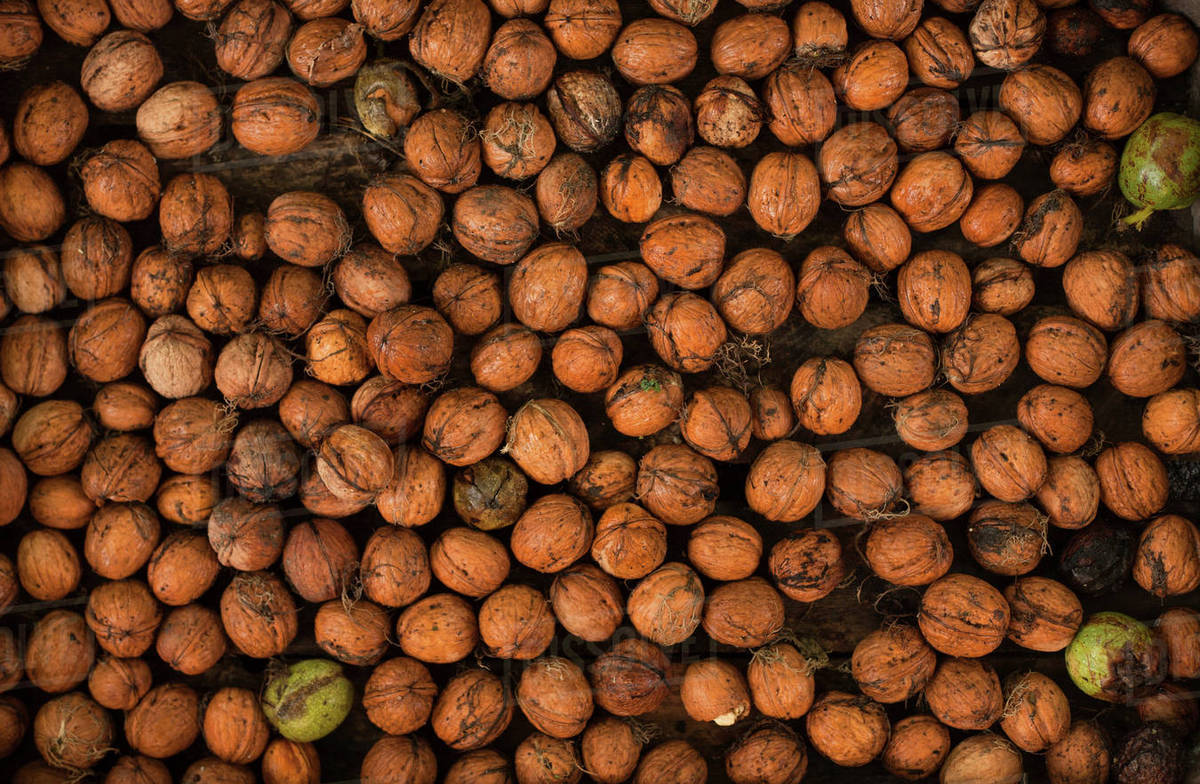 Pile of walnuts - Royalty-free Stock Photo | Dissolve