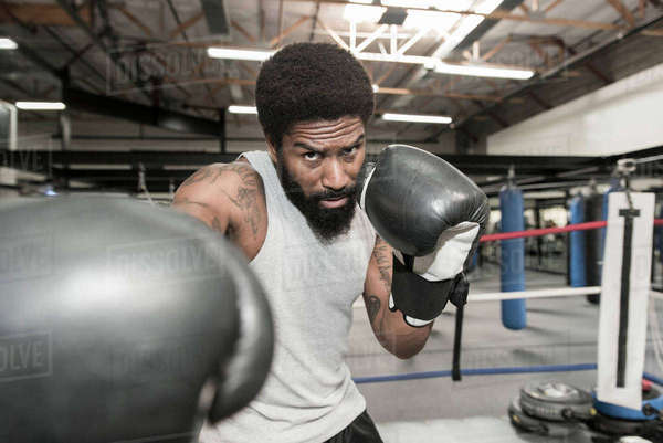 Black man posing in boxing ring - Stock Photo - Dissolve
