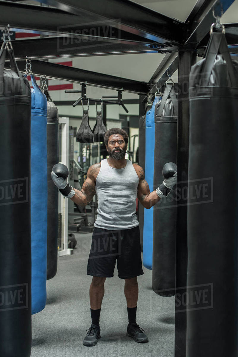 Serious black boxer posing in gymnasium - Stock Photo - Dissolve