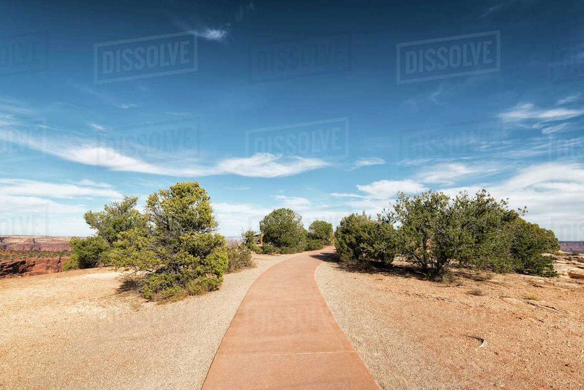 Path in sunny park - Royalty-free Stock Photo | Dissolve