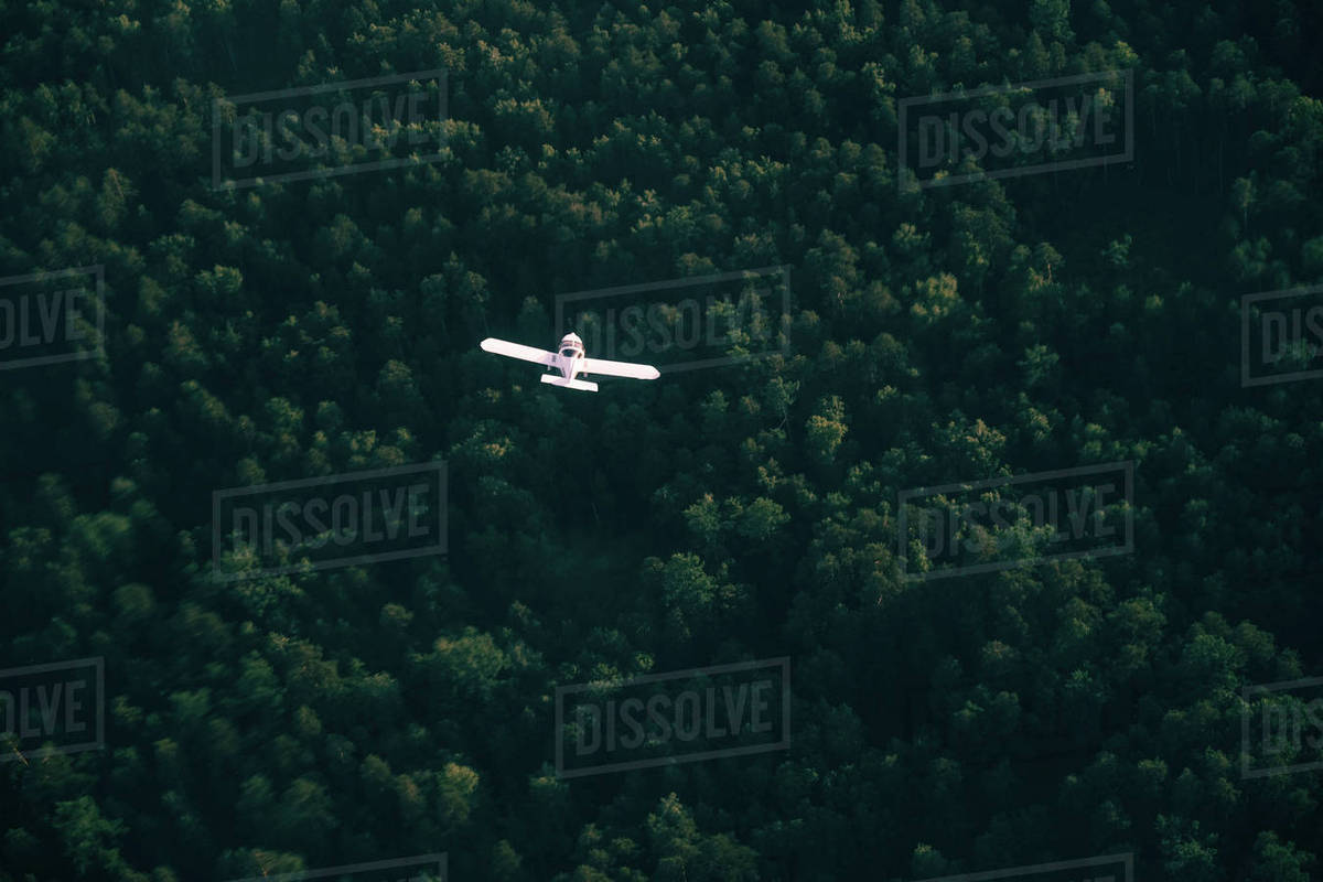 Aerial view of airplane flying over trees - Stock Photo - Dissolve