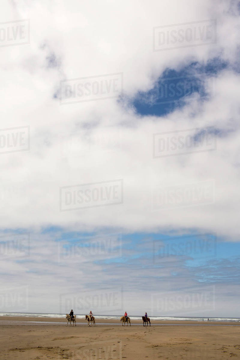Distant people riding horses on beach - Stock Photo - Dissolve