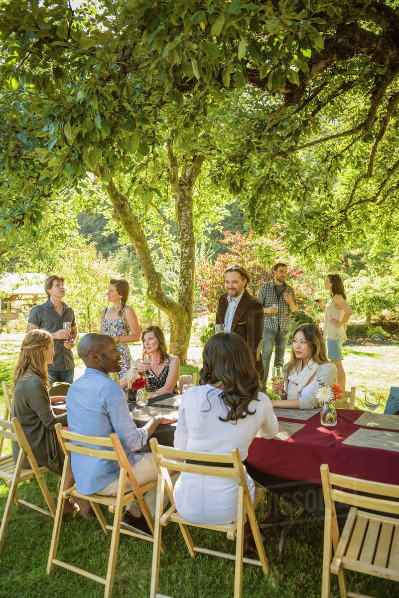 Friends drinking wine at party outdoors - Stock Photo - Dissolve