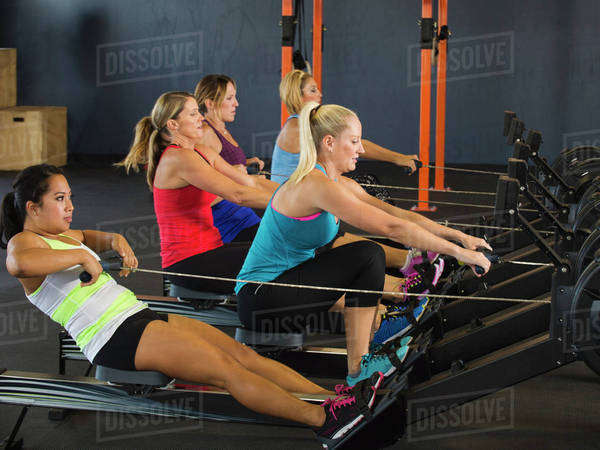 Women using rowing machines in gym - Royalty-free Stock Photo | Dissolve