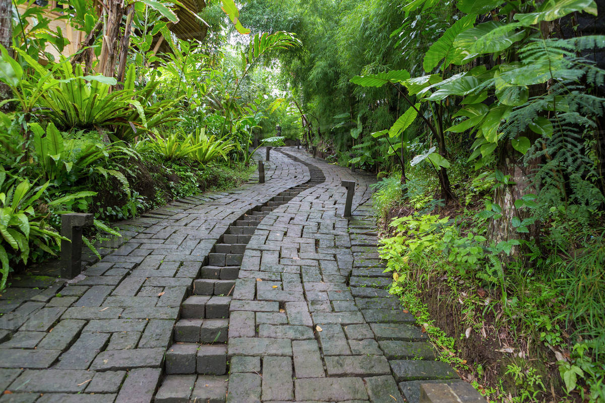 Stone pathway in tropical rainforest, Ubud, Bali, Indonesia - Royalty ...