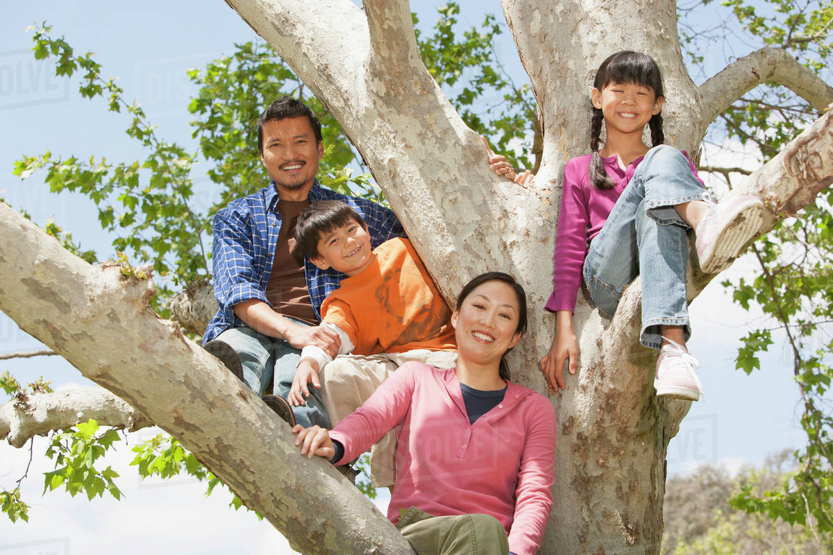 Family climbing tree together - Royalty-free Stock Photo | Dissolve