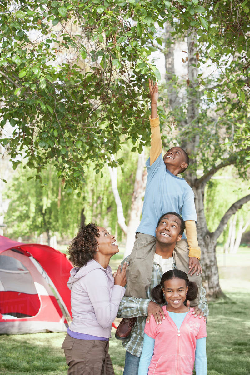 Family picking fruit together in park - Royalty-free Stock Photo | Dissolve
