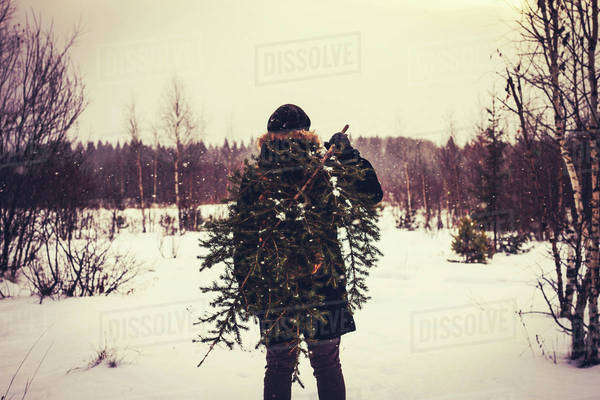 Caucasian man carrying tree in snowy field - Royalty-free Stock Photo ...