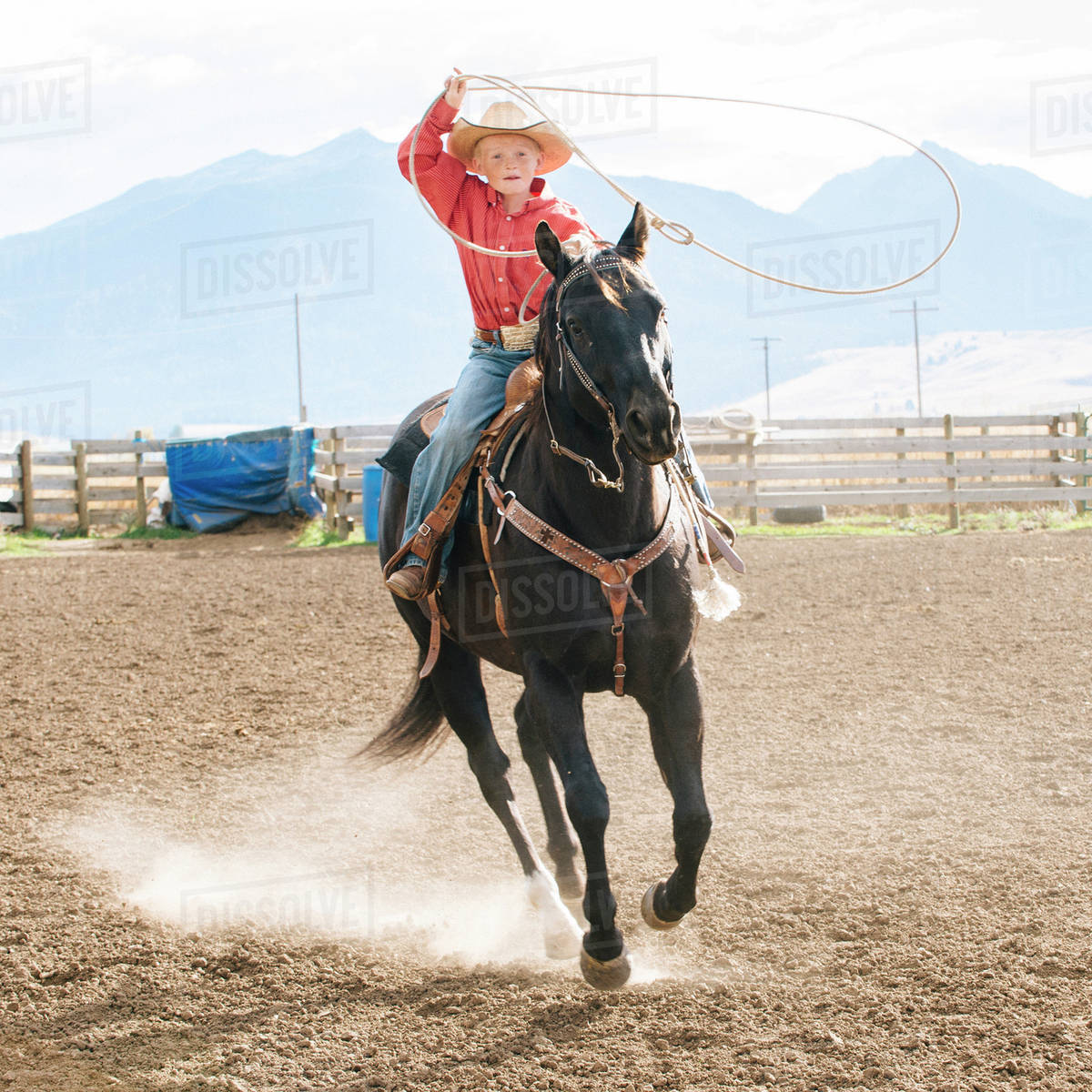 Caucasian boy using lasso on horse at rodeo - Royalty-free Stock Photo ...