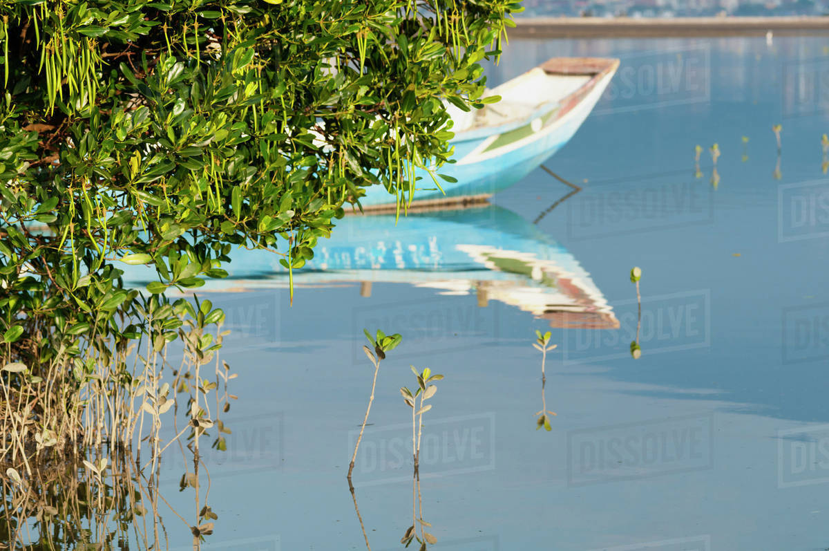 A fishing boat floating on the shallow waters in the mangrove swamp ...