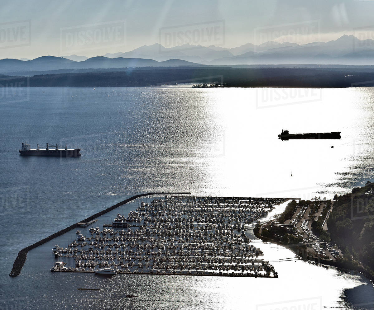 Sunlight Reflecting Off Of Water Near Marina - Stock Photo - Dissolve