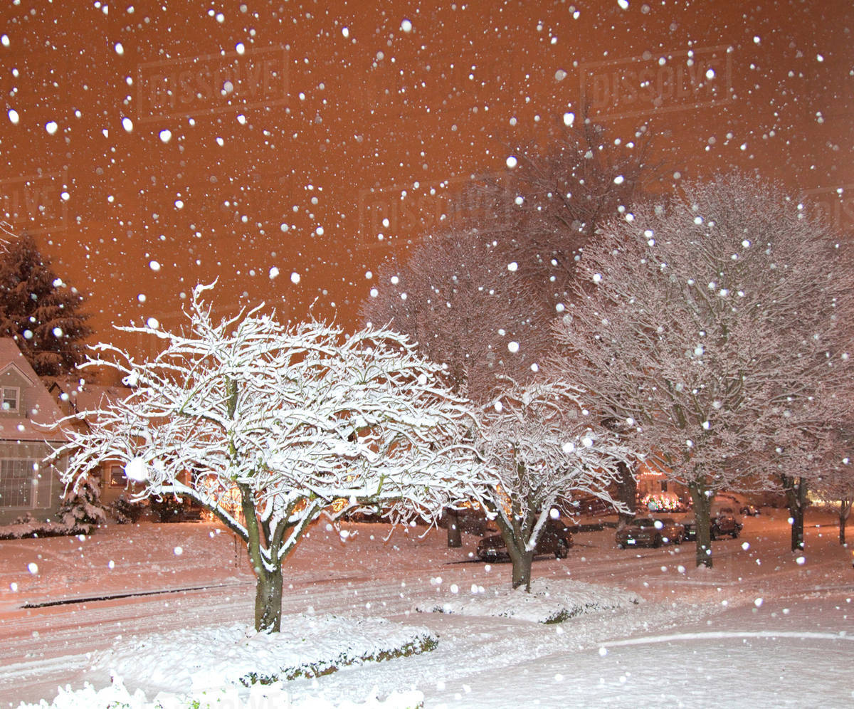 Falling Snow in a Neighborhood - Royalty-free Stock Photo | Dissolve