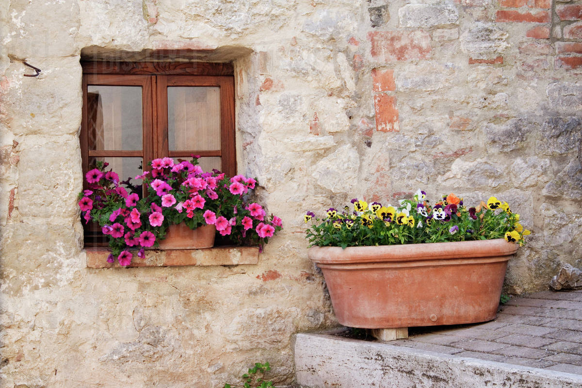 Flowery window Home Décor Dried Flower Arrangements Floral Arrangements ...