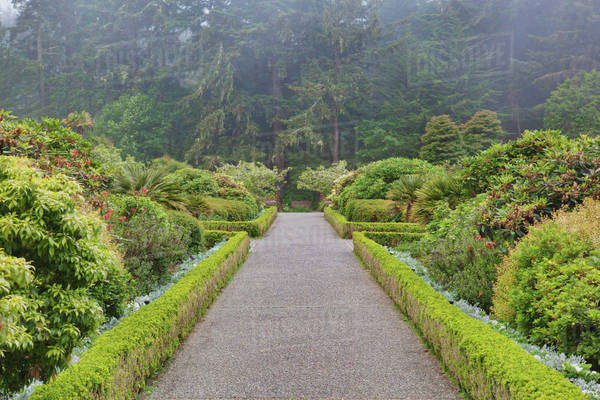 The Shore Acres State Park botanical gardens - Stock Photo - Dissolve