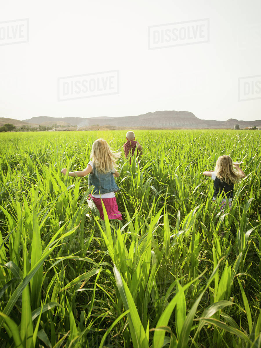 Children playing in corn field - Royalty-free Stock Photo | Dissolve