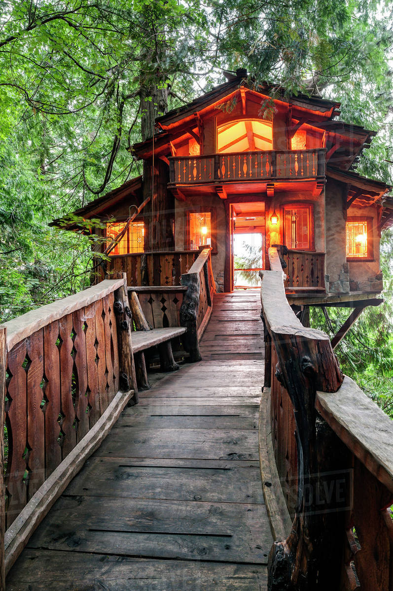 Wooden walkway to illuminated tree house - Stock Photo - Dissolve