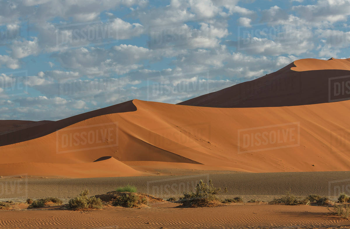 Sand dunes in desert landscape - Royalty-free Stock Photo | Dissolve