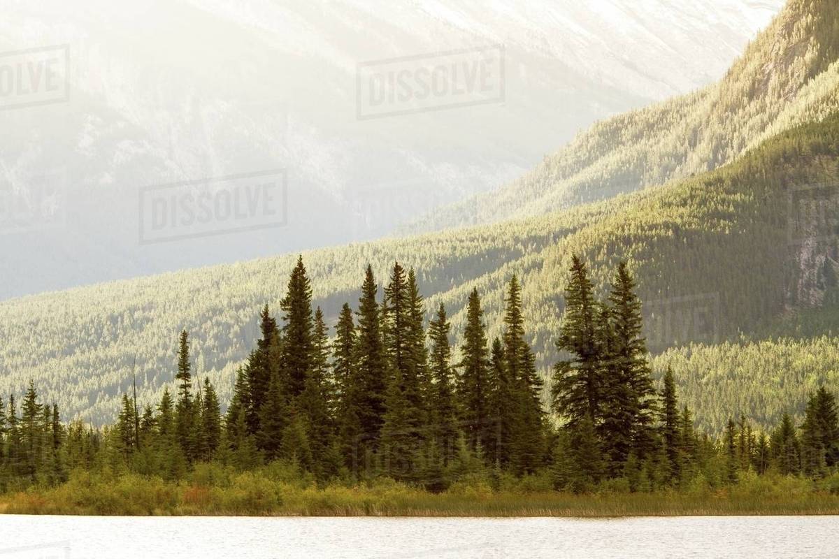 Distant view of forest and mountain slope - Royalty-free Stock Photo ...
