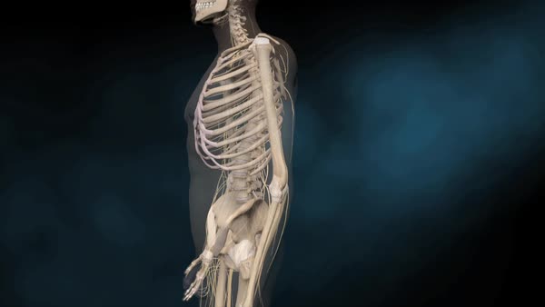 Pull out from skin of shoulder to full male human body as we dissolve ...