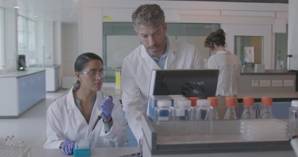 Scientist Looking at Test results on Computer in Pharmaceutical ...