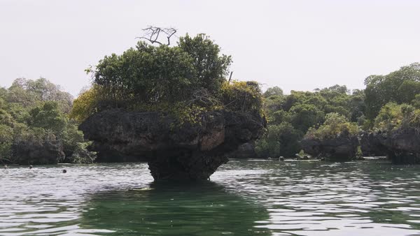 Lagoon at Kwale Island in Menai Bay, Zanzibar. Mangroves form many ...