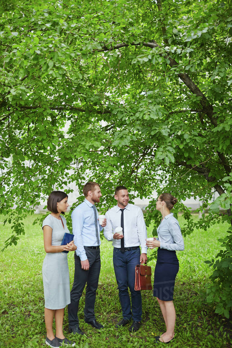 Team of co-workers talking under tree in park - Stock Photo - Dissolve