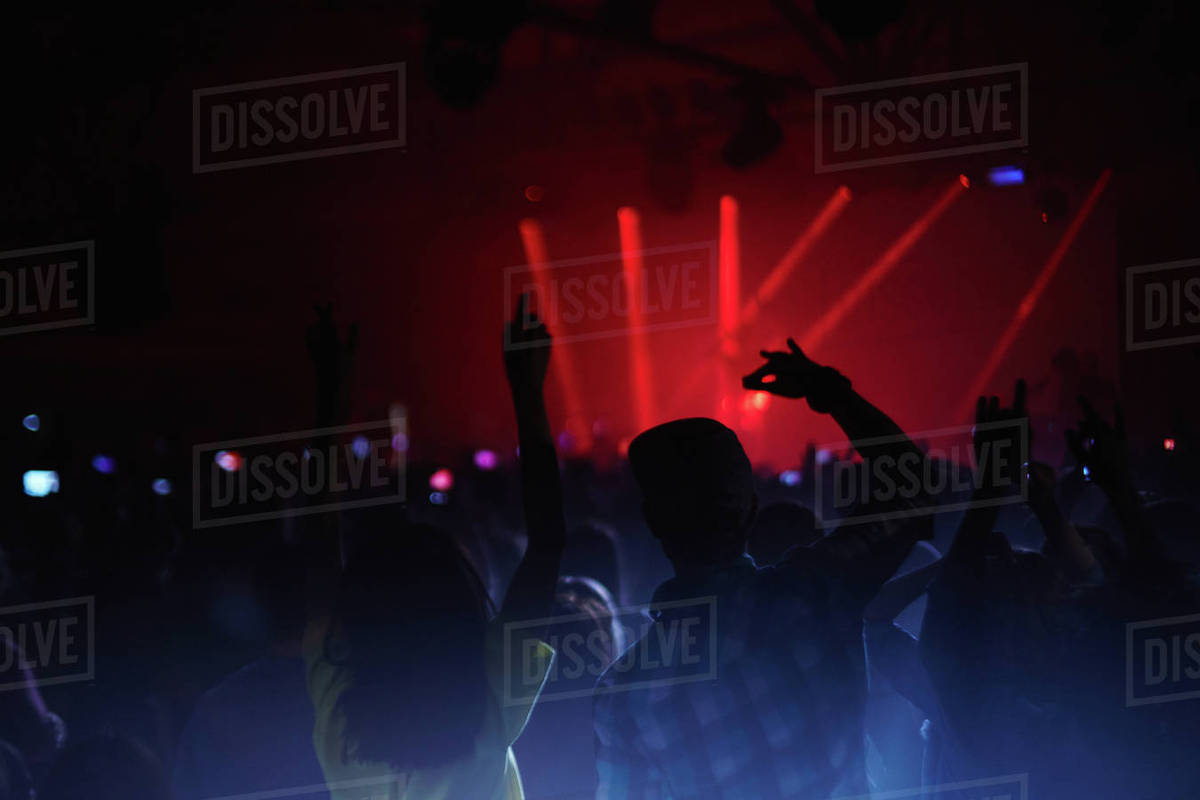 Group of fans during a concert - Royalty-free Stock Photo | Dissolve