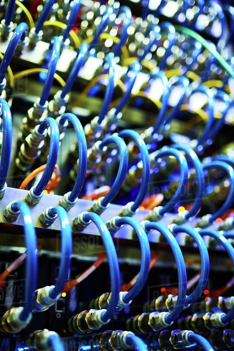 Close-up of network server cables - Royalty-free Stock Photo | Dissolve