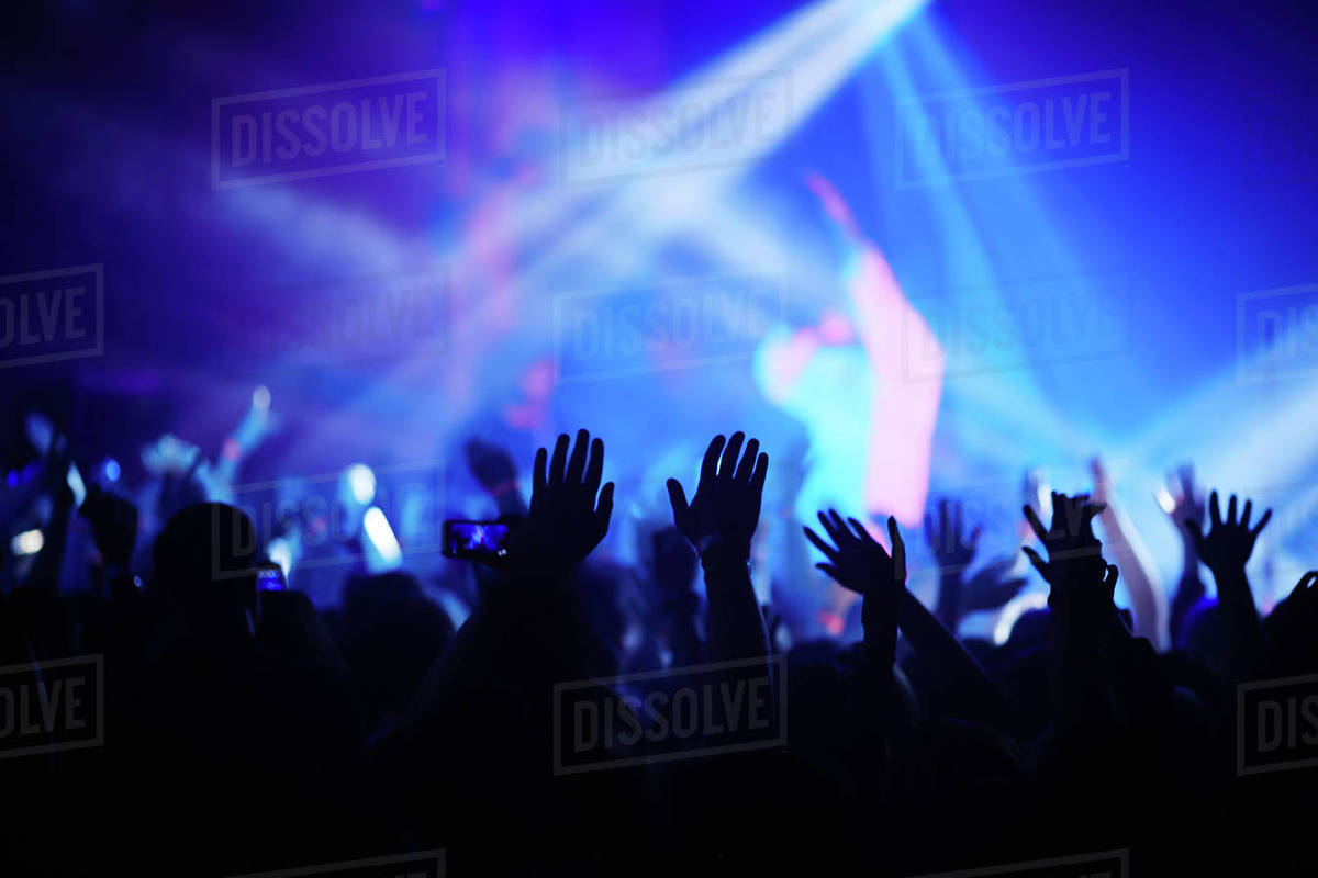 Crowd at a concert shot from behind - Royalty-free Stock Photo | Dissolve