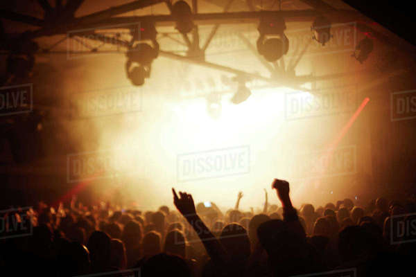 Crowd at a concert shot from behind - Royalty-free Stock Photo | Dissolve